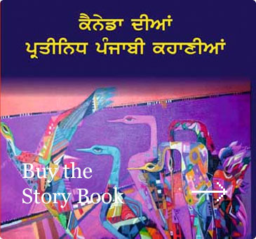 Discover Top Punjabi Books Online | Bestselling Reads in Every Genre ...